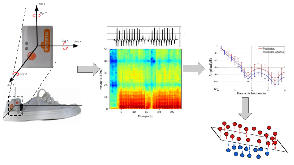 Representaciones en Tiempo-Frecuencia en señales de marcha para la ...